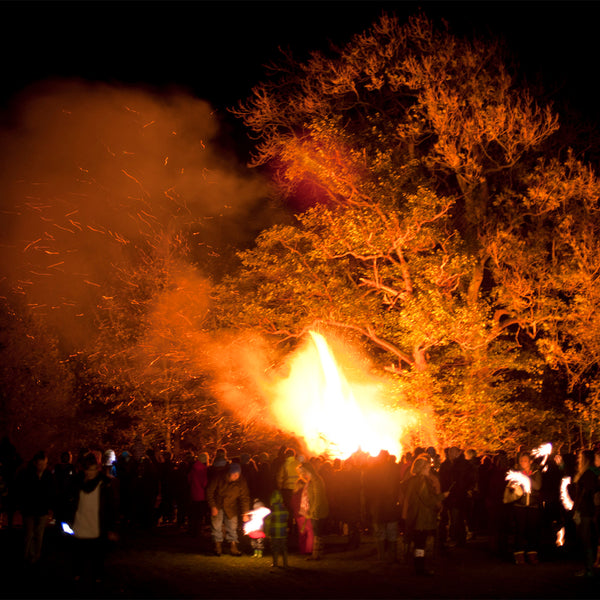 Bonfire Night Bangers and Carb Counting! - Love My Libre